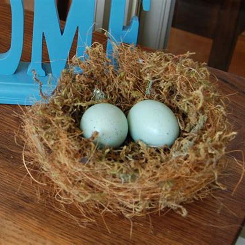 How do you make a homemade nest? - DIY Seattle