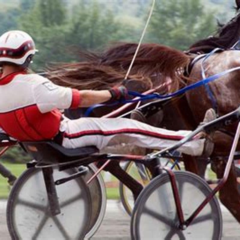 What is a horse and cart race called? - DIY Seattle